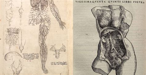 사진과 함께 알아보는 해부학의 발전사 ㅍㅍㅅㅅ
