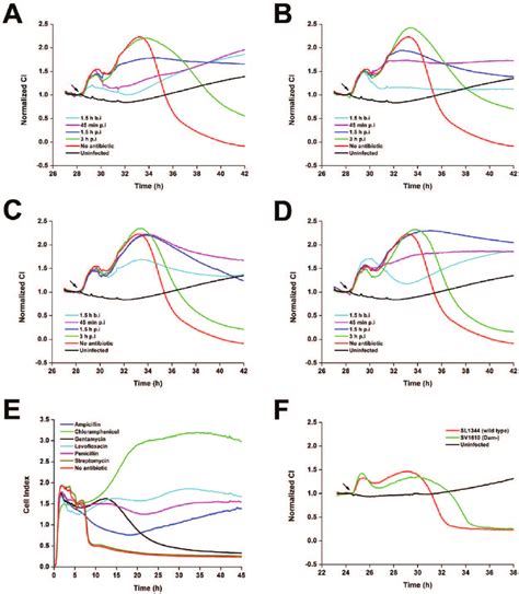Broad Application Of Cell Based Infection Model Ad Dynamic