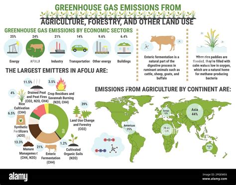 Infographic Of Global Greenhouse Gas Emissions By Agriculture Forestry And Other Land Use