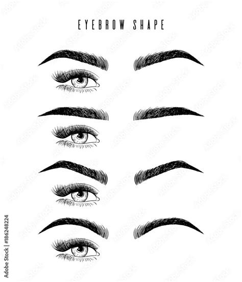 Eyebrow Shaping For Women Face Makeup Eyebrows Shape Set Vector