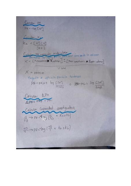 Resumen Teoría Y Fórmulas Buffer Liz Udocz