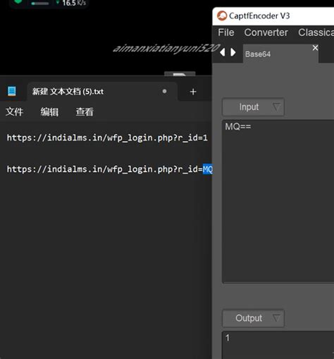 008 基础入门 算法分析and传输加密and数据格式and密文存储and代码混淆and逆向保护护算法加密密文格式 Csdn博客