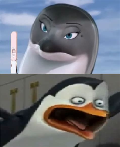 Kowalski X Doris Pregnancy Test Meme By Brandonale On Deviantart