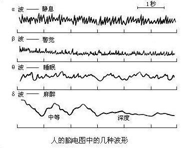 α脑电波360百科