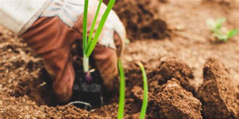 What Is Responsible Sourcing 3 Real Examples