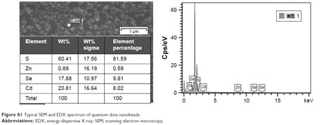 Quantum Dots Based Lateral Flow Immunoassay Combined With Image Analys Ijn