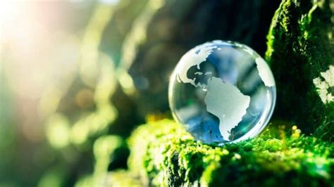 10 Sustainable Food Brands And Companies Laying It All On The Table