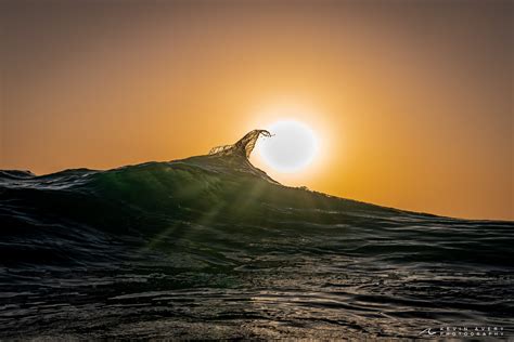 Kevin Avery Photography 431 Redwood Online Art Fair