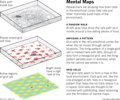 Grid Cell Research Areas Jtoy