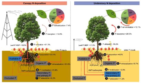 国家生态系统观测研究网络
