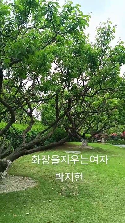 봄산책나무박지현화장을지우는여자 Youtube