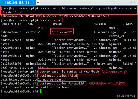 docker：（四）docker网络模式 docker绑定物理网卡 csdn博客