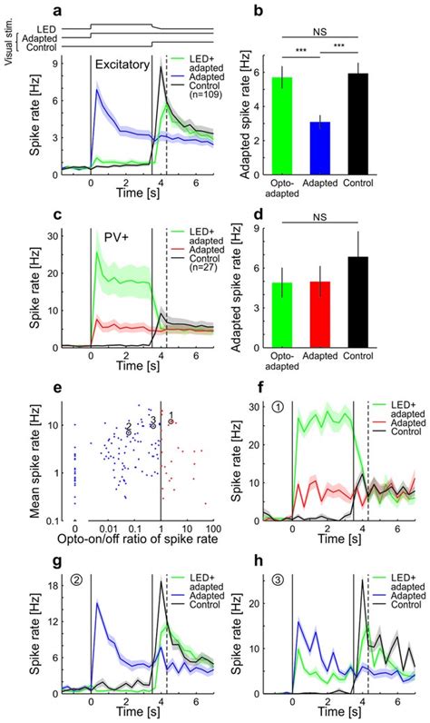 Figures And Data In Stimulus Relevance Modulates Contrast Adaptation In