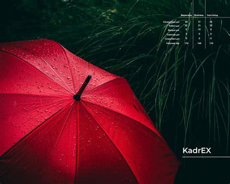 Шпалери на робочий стіл Вересень листопад Професійні видання