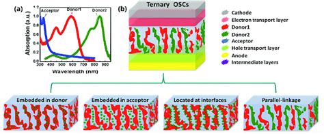 The Schematic Configuration Of A Ternary Oscs A Film Absorption Download Scientific Diagram