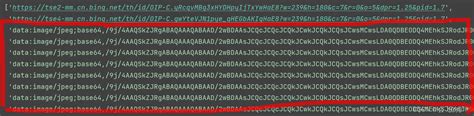 关于爬虫 Dataimagejpeg；base64 图片解码问题会飞的驴9526 Csdn Csdn博客