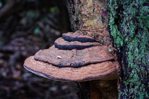 9  Neil Fleming Flickr