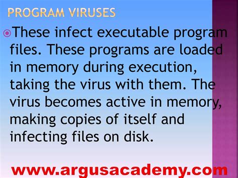 Virus Examples Ppsx
