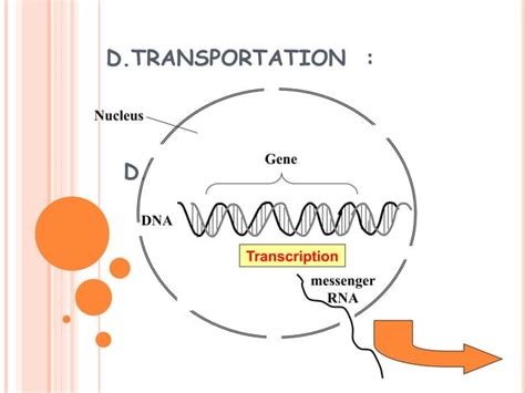 Gene Expression Pptx Programming Languages Computing