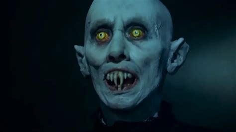 Sorprendente Hallazgo En La Costa De Tierra Del Fuego Un Barco Español Hundido Desde 1765 Infobae