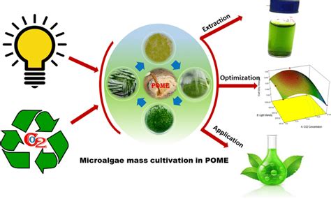 The Schematic Representing The Optimization Of Co2 And Light For Mass Download Scientific