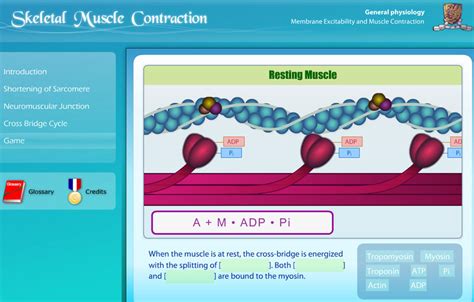 Screen Capture Of The SMC Module Download Scientific Diagram
