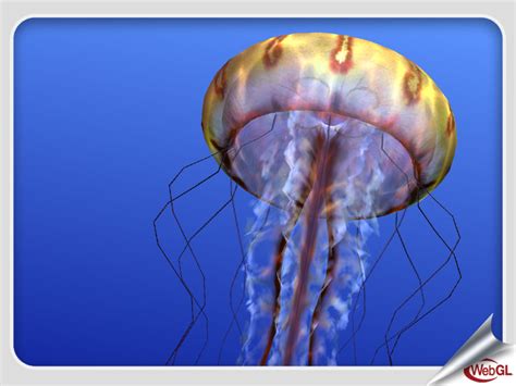 Experimental WebGL Demo Examples