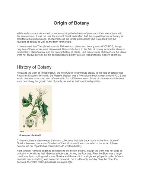 Origin Of Botany Origin Of Botany While Early Humans Depended On
