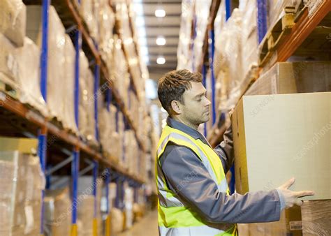 Worker Stacking Boxes In Warehouse Stock Image F013 9105 Science