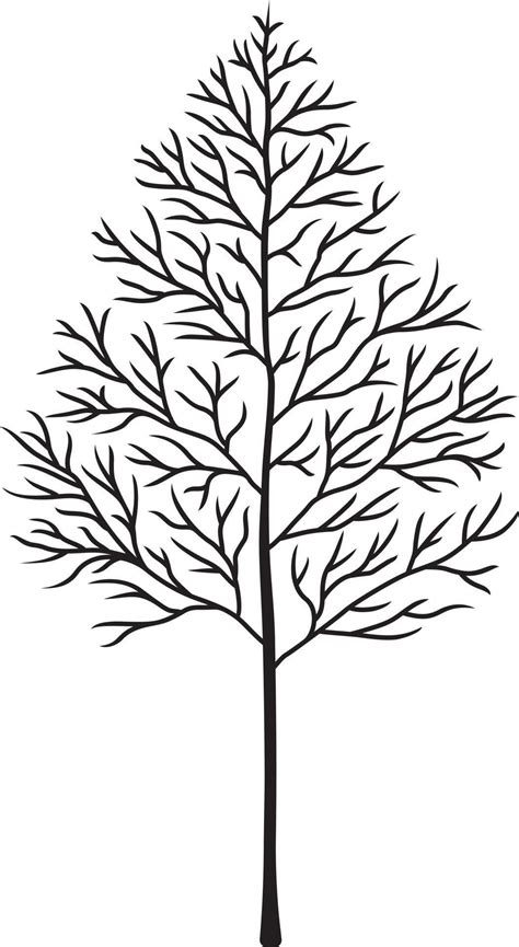 Leafless Tree Vector 4692484 Vector Art At Vecteezy