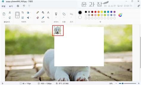 사진 모자이크 처리 방법 Pc 아이폰 갤럭시 윤과장의 소소한 일상 이야기
