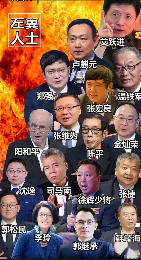 当代中国17位 扛大旗”的左翼人士，你熟悉的有几个人物归为司马南