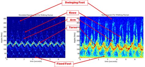 simulated spectrogram of the motions in figure 1 compared with real