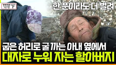 [멜로다큐 가족 249회 下] 한 푼이라도 더 벌려 굽은 허리로 굴 까는 아내 옆에서 대자로 누워 자는 할아버지 Youtube