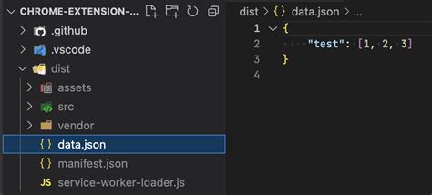 Add Custom Files To The Bundle · Issue 11 · Nekitcorpchrome Extension