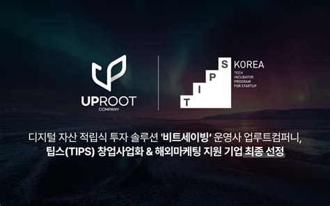 투데이 스타트업 라이드플럭스 비브스튜디오스 업루트컴퍼니 인터갤러틱 디비디랩 플래텀