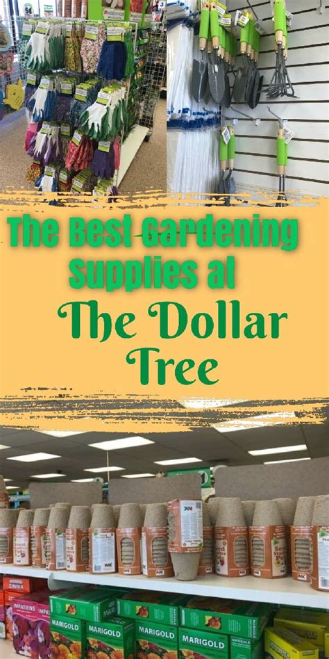 The Best Gardening Supplies From Dollar Tree