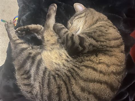 Straightened Back Feetsies R Straightenedfeetsies