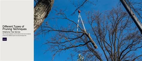 Different Types Of Pruning Techniques