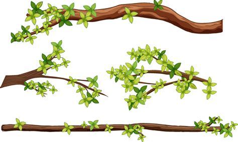 Set Of Different Tree Branches Isolated 12404358 Vector Art At Vecteezy