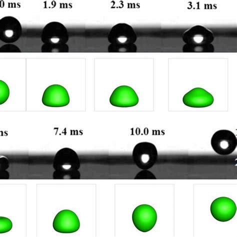 Validation Of The Model The Experiment Was Done In 38 Download Scientific Diagram