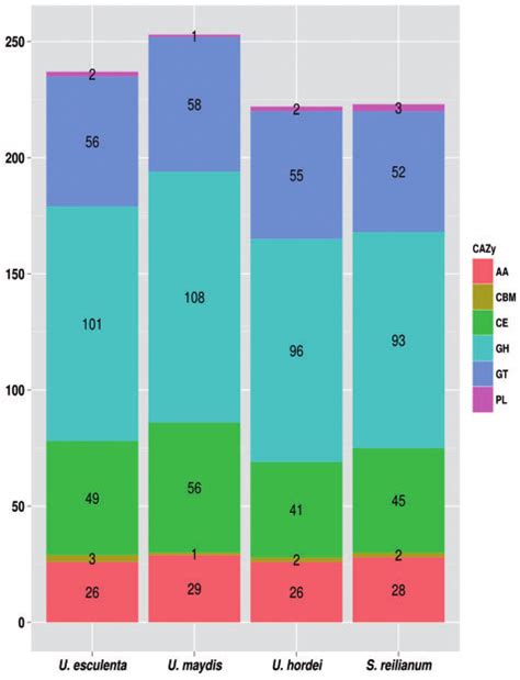 Cazy Compositions Of The Four Ustilagoinaceae Species The Numbers Download Scientific Diagram