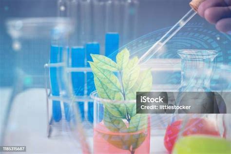 과학자 연구 및 개발 개념 의학 연구를 위한 실험실에 있는 의학 실험실 계기 및 화학의 이중 노출 심상 Stem 주제에 대한