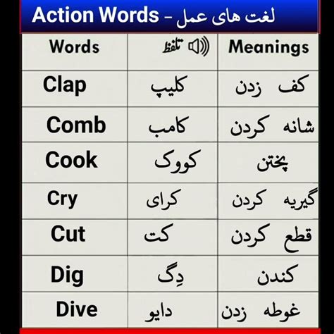 لغت های عمل Action Words با تلفظ دریفارسی Englishspeaking English
