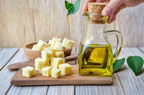 Exploring The Differences Between Beef Tallow And Seed Oil In Culinary Uses Stock Image Image
