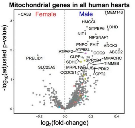 Why Biological Sex Is Not A Continuum