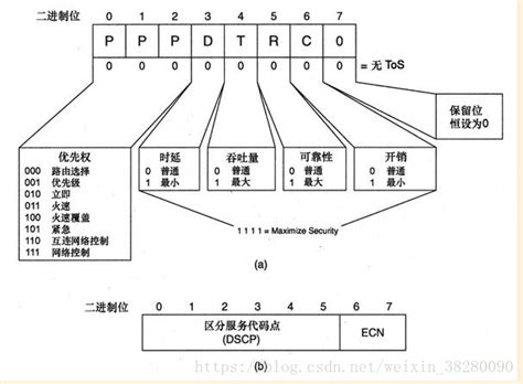 Ip数据包结构 甜腻 博客园