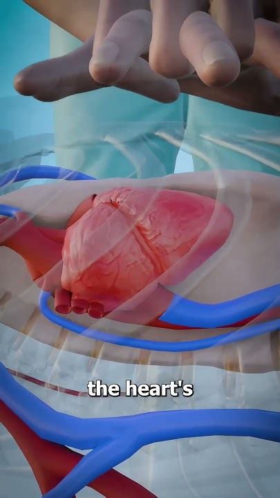 Cpr Kaise Kaam Karta Hai Cpr Kaise Kaam Karta Facts Emergency