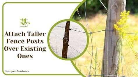 10 Fence Height Extension Ideas How To Make Your Fence Taller
