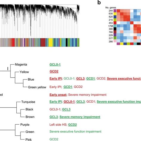 Wgcna Analysis Gene Dendrogram And Gene Clustering Analysis For Module